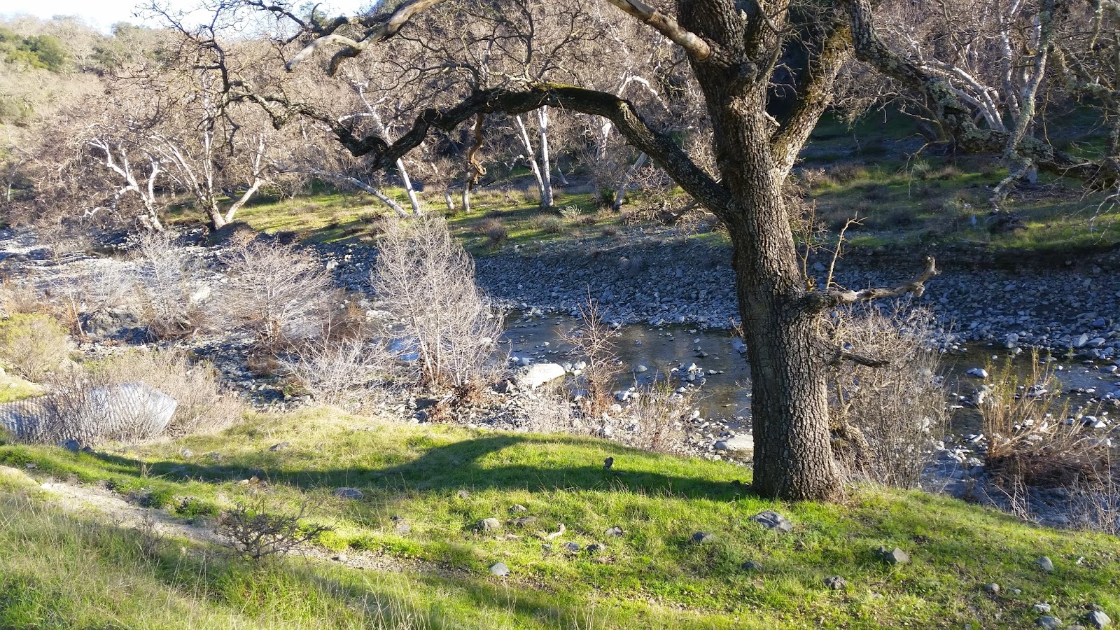 BEAUTIFUL SUNOL WILDERNESS (WATERFALLS),MCCORKLE TRAIL - Bay Area Backroads